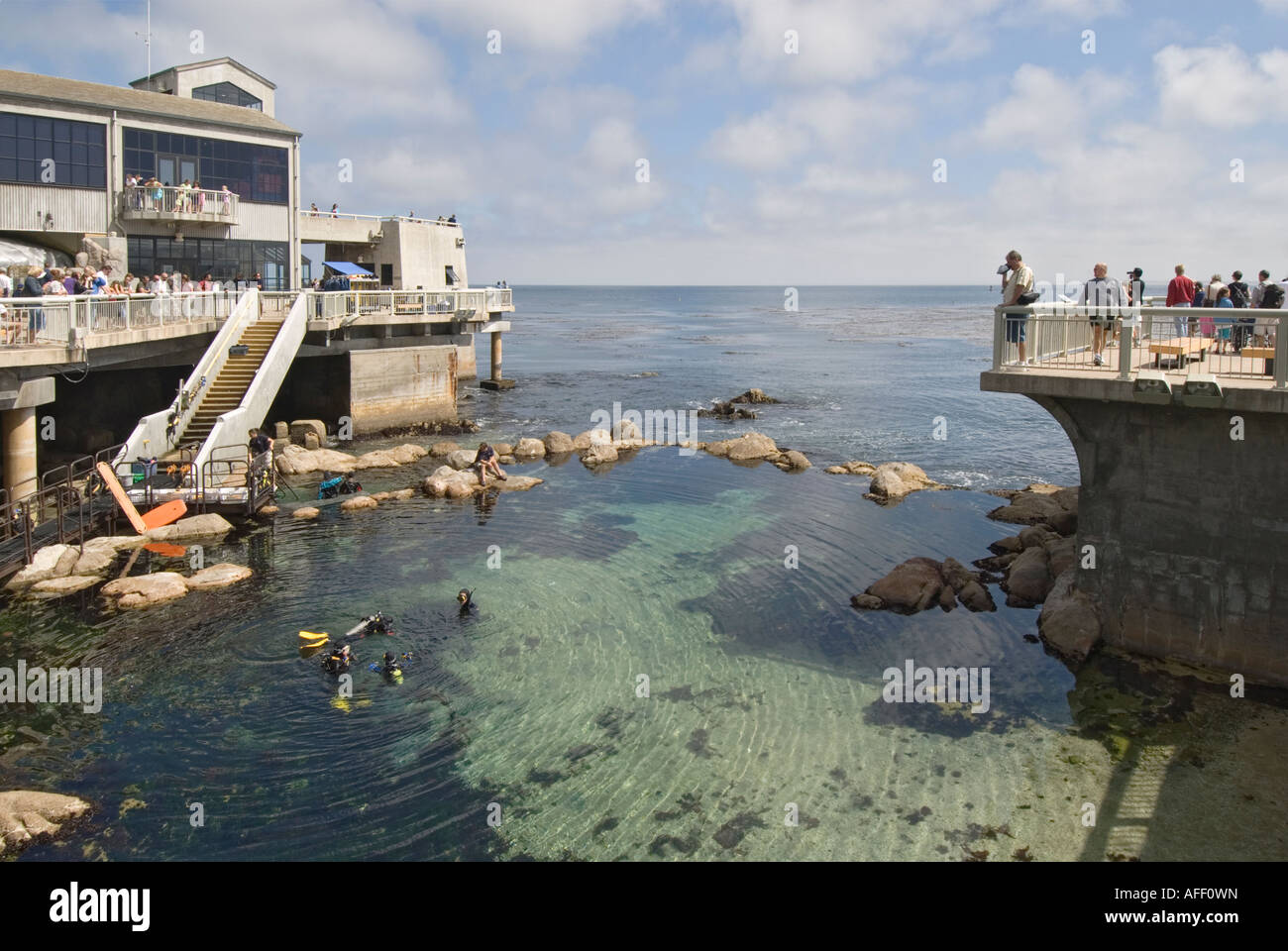Monterey bay aquarium diving hi-res stock photography and images - Alamy