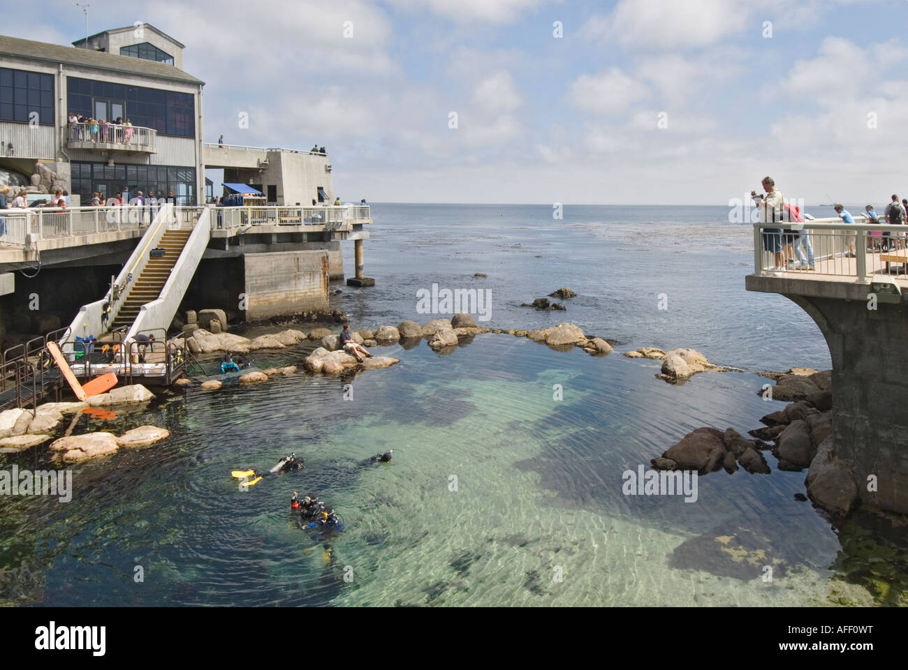 Monterey bay aquarium diving hi-res stock photography and images - Alamy