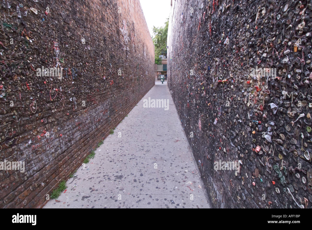 California Central Coast San Luis Obispo Bubble Gum Alley Stock Photo ...