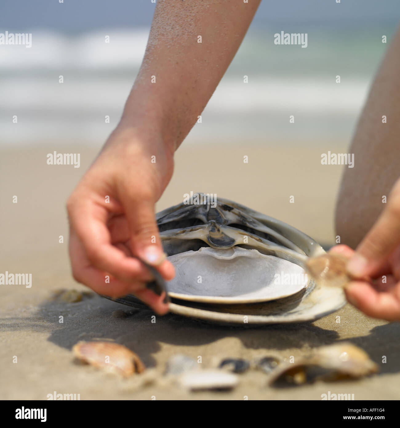child playing with shells Stock Photo - Alamy