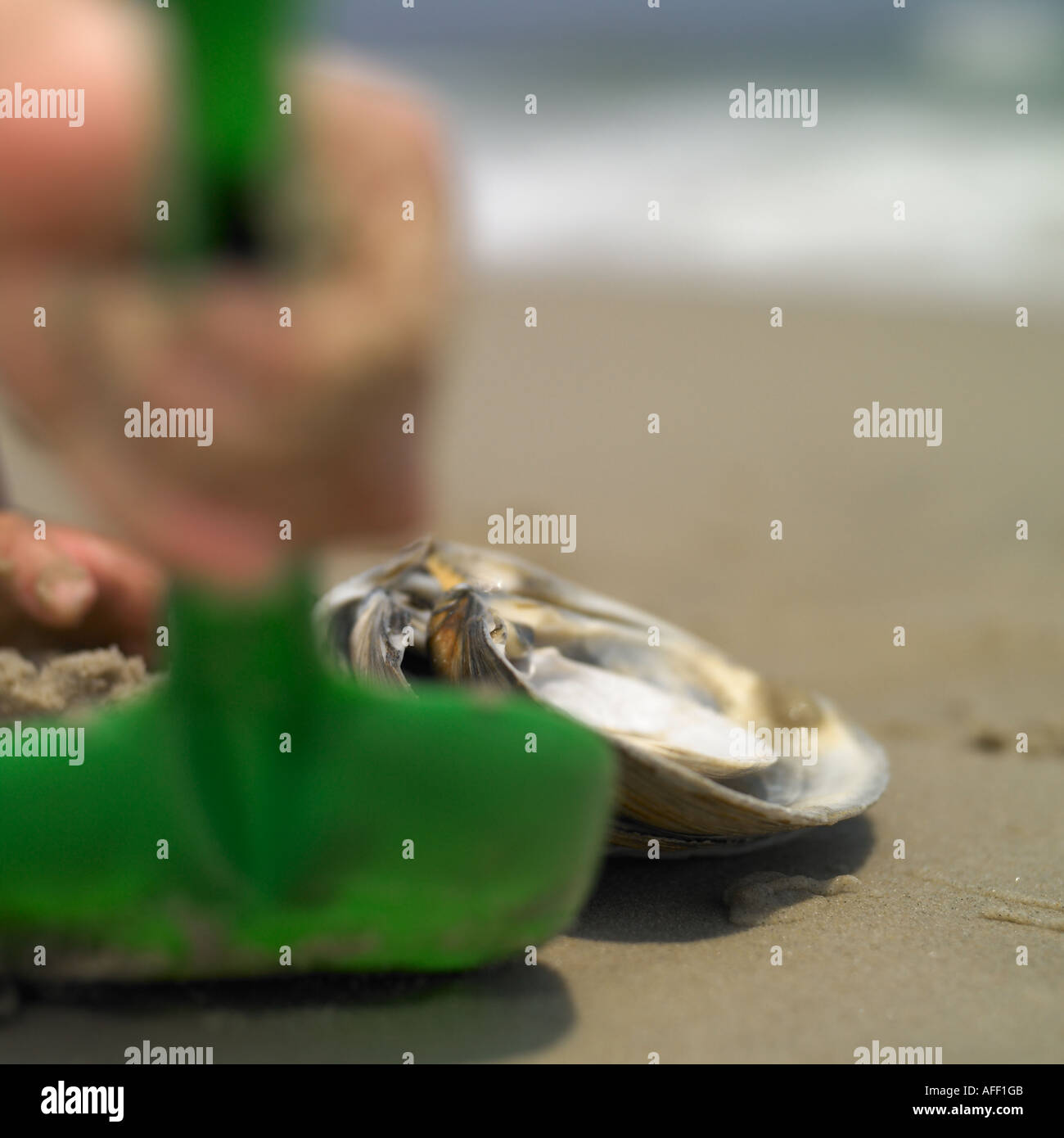 child playing with shells Stock Photo - Alamy