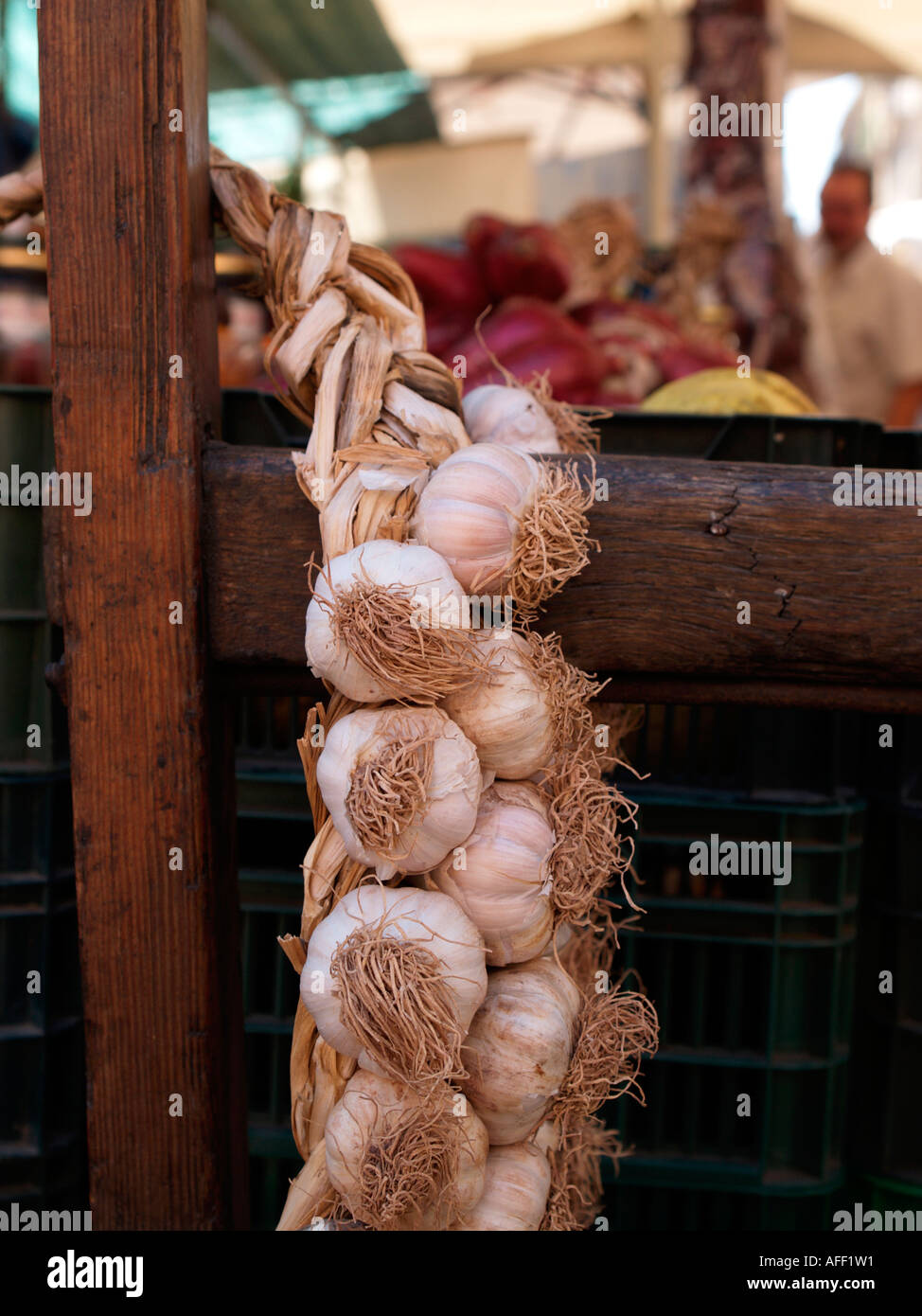 string of garlic in market Stock Photo - Alamy