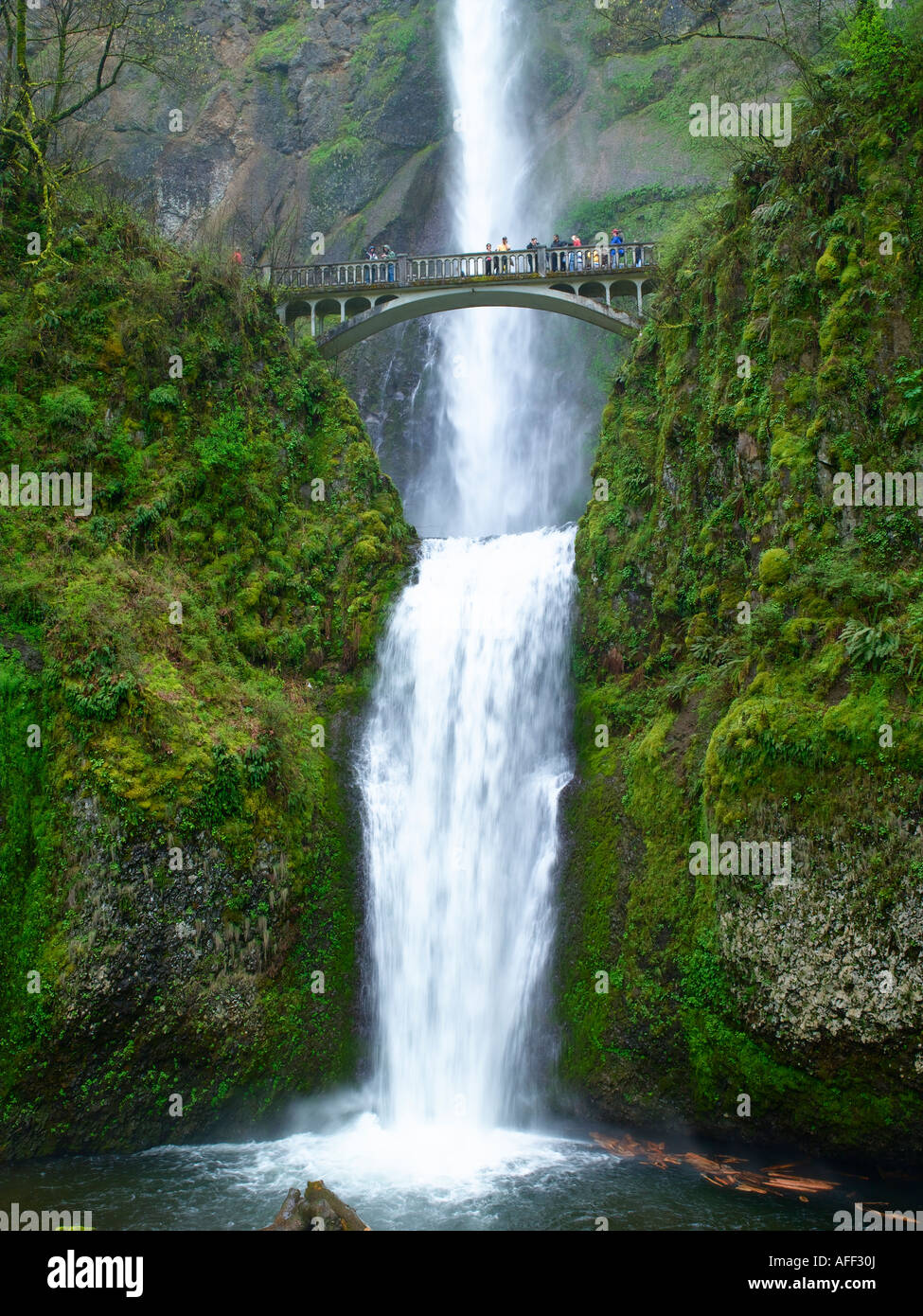 Multnomah Falls, Columbia River Gorge Stock Photo - Alamy