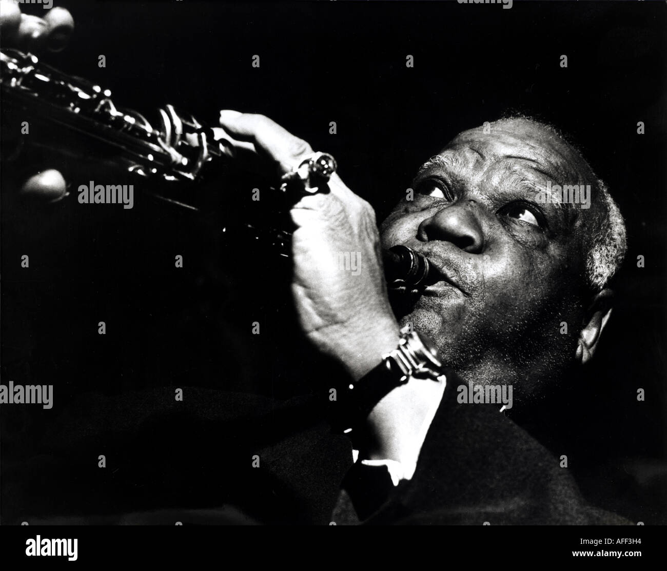 Sidney hi-res stock photography and images - Alamy