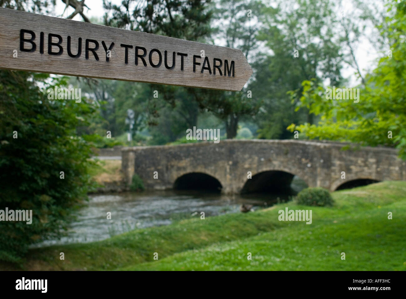 Bibury trout farm hi-res stock photography and images - Alamy