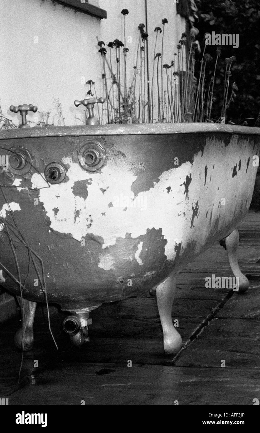 A bath being used as a plant pot Stock Photo - Alamy
