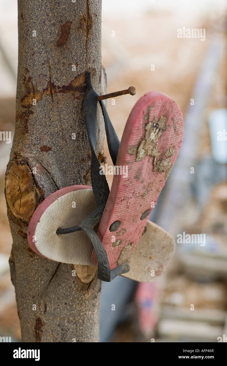 broken sandals hanging on tree trunk Stock Photo - Alamy