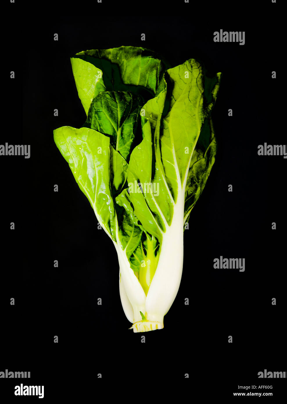 Pak choi leaves hi-res stock photography and images - Alamy
