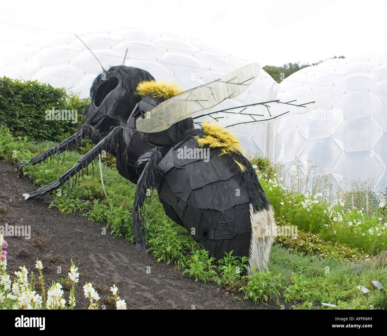 Eden Project Cornwall Stock Photo - Alamy