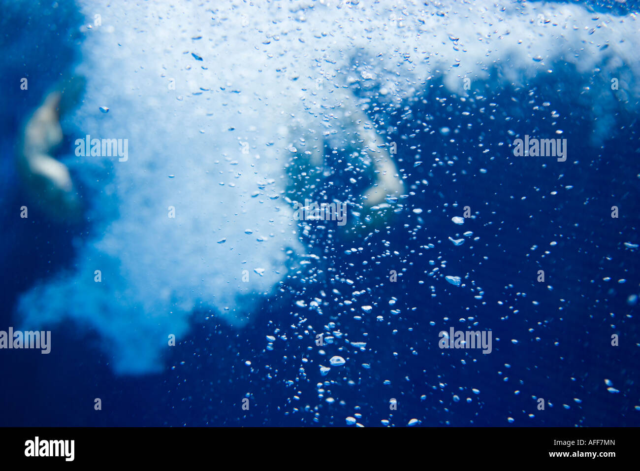 Diving into water Stock Photo - Alamy