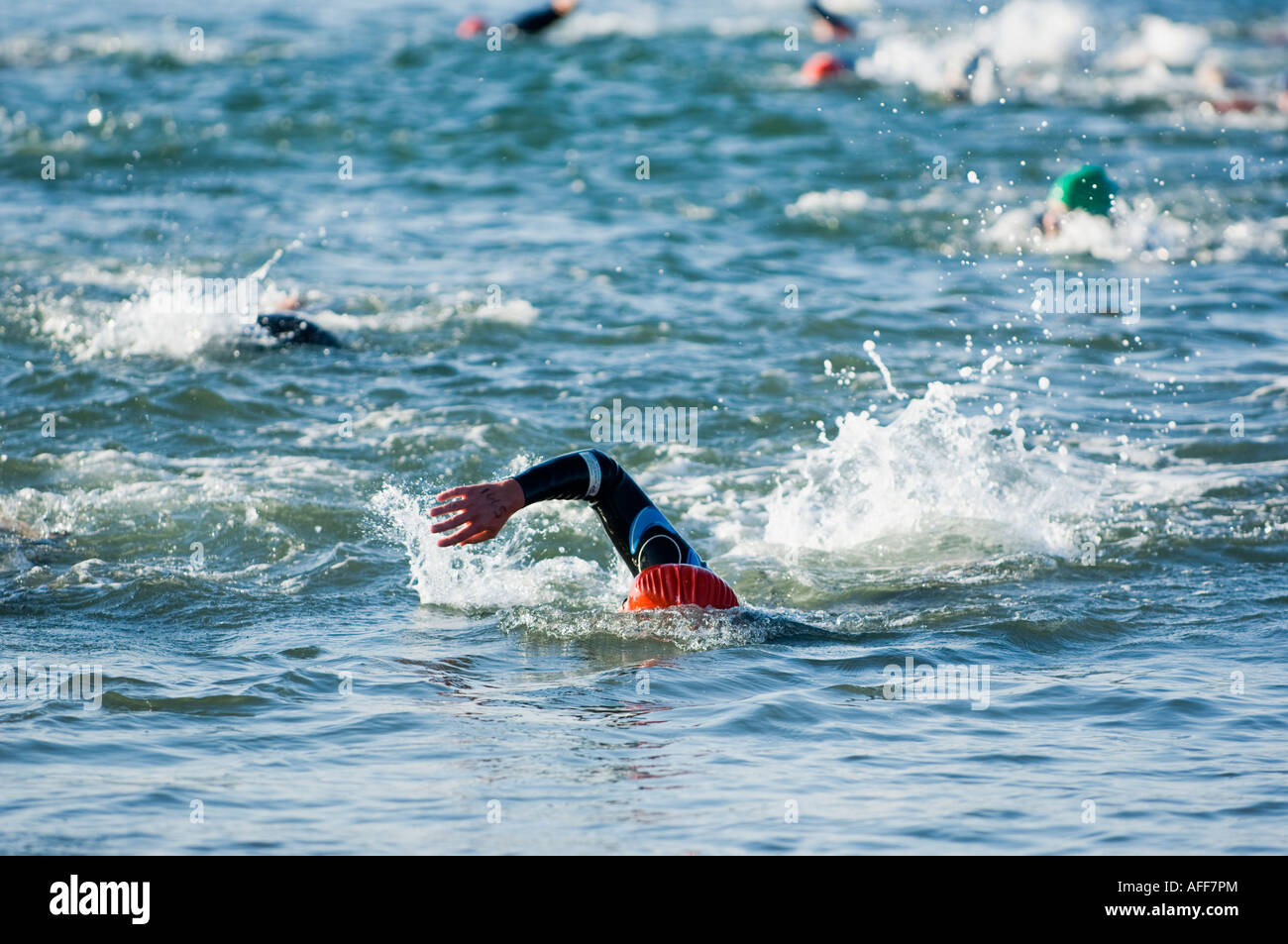 ocean swim, Santa Barbara triathlon 2007 Stock Photo - Alamy