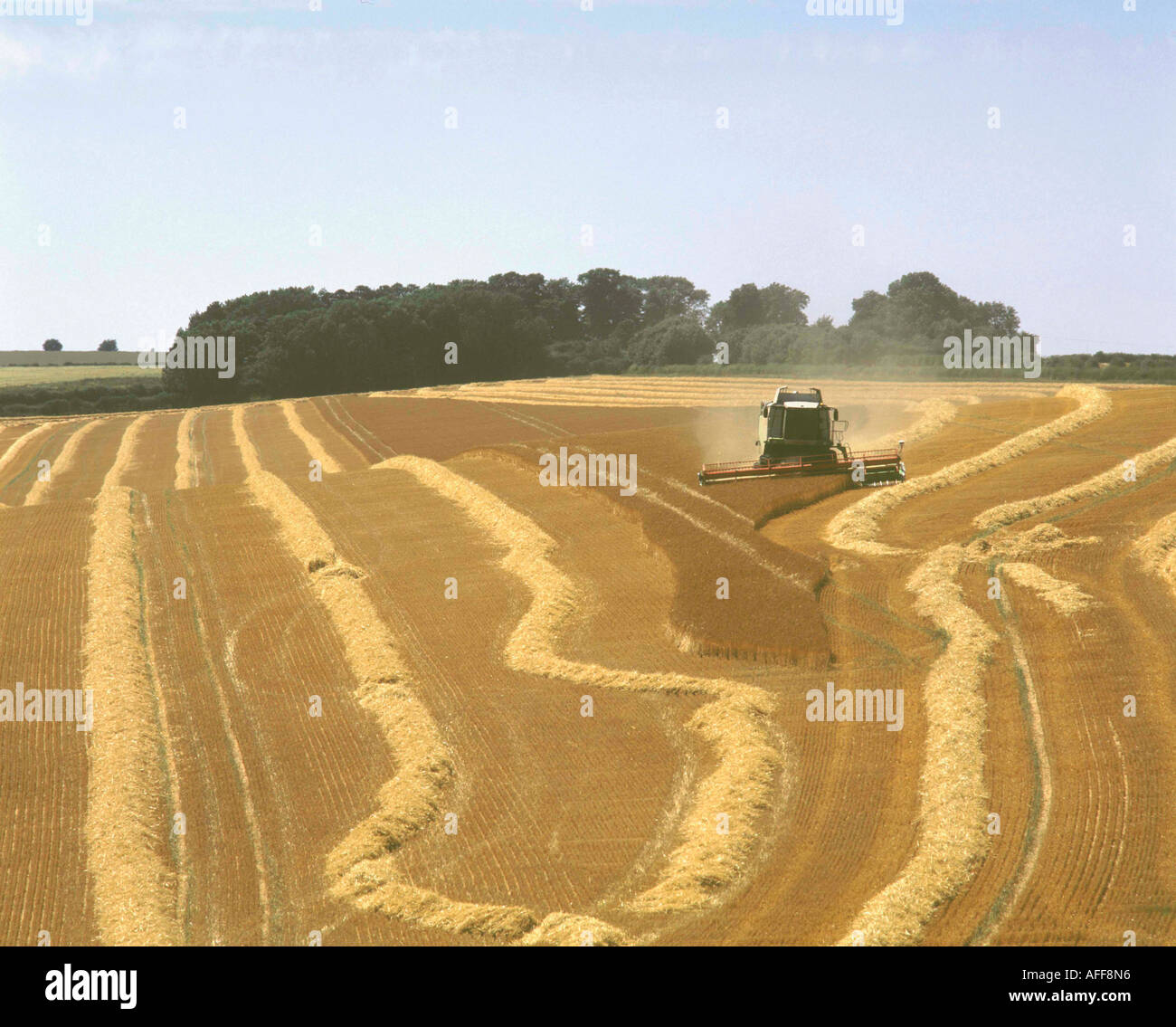 Hot dry august hi-res stock photography and images - Alamy
