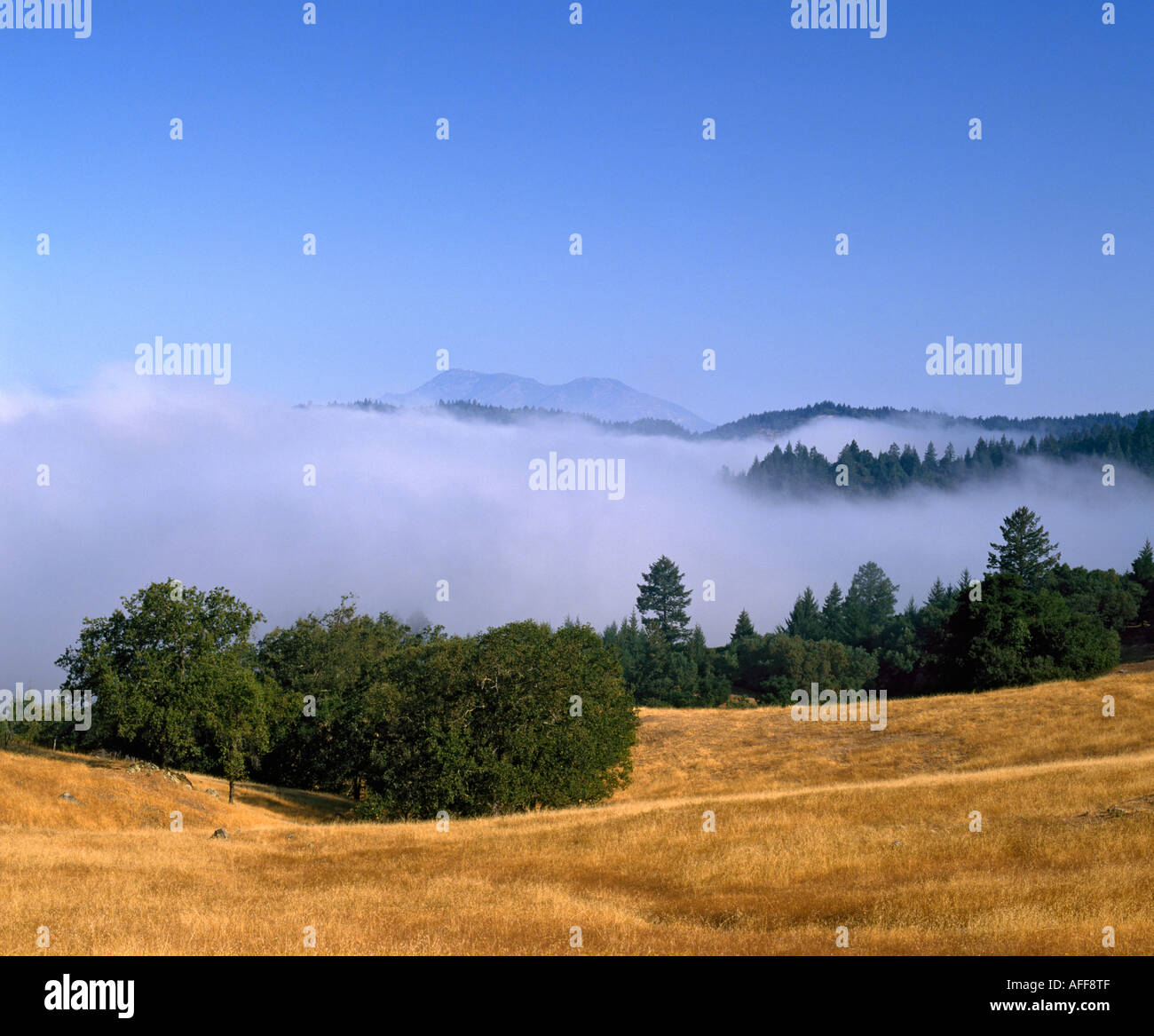 Mount st helena hi-res stock photography and images - Alamy