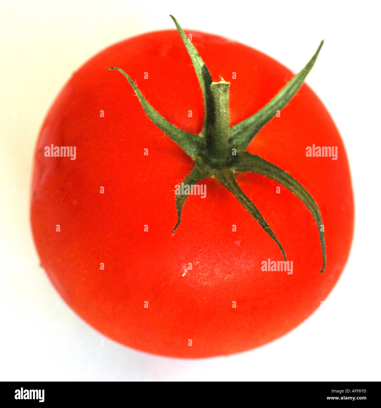 Single whole tomato Stock Photo - Alamy