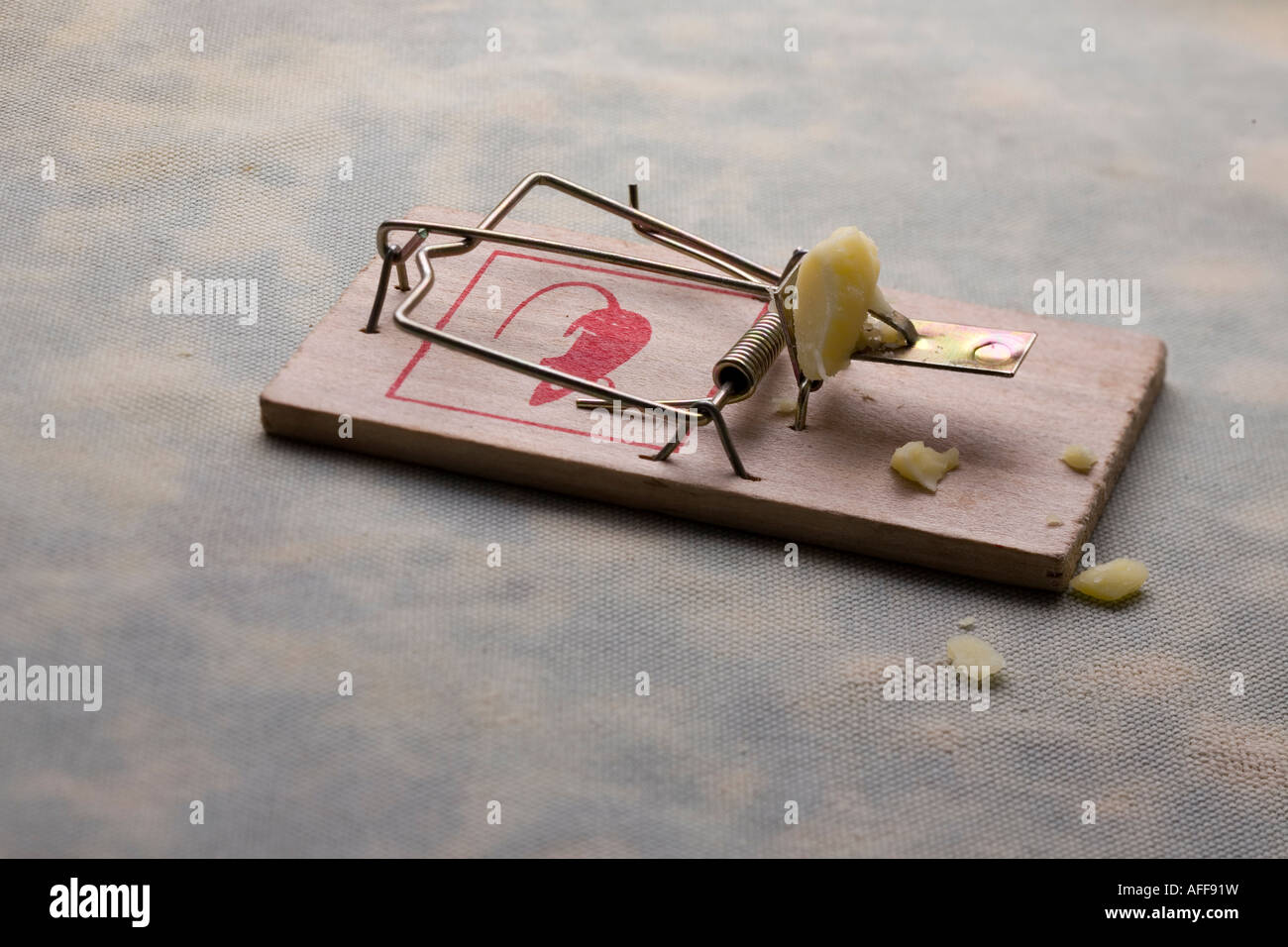 wooden mouse trap with cheese Stock Photo - Alamy