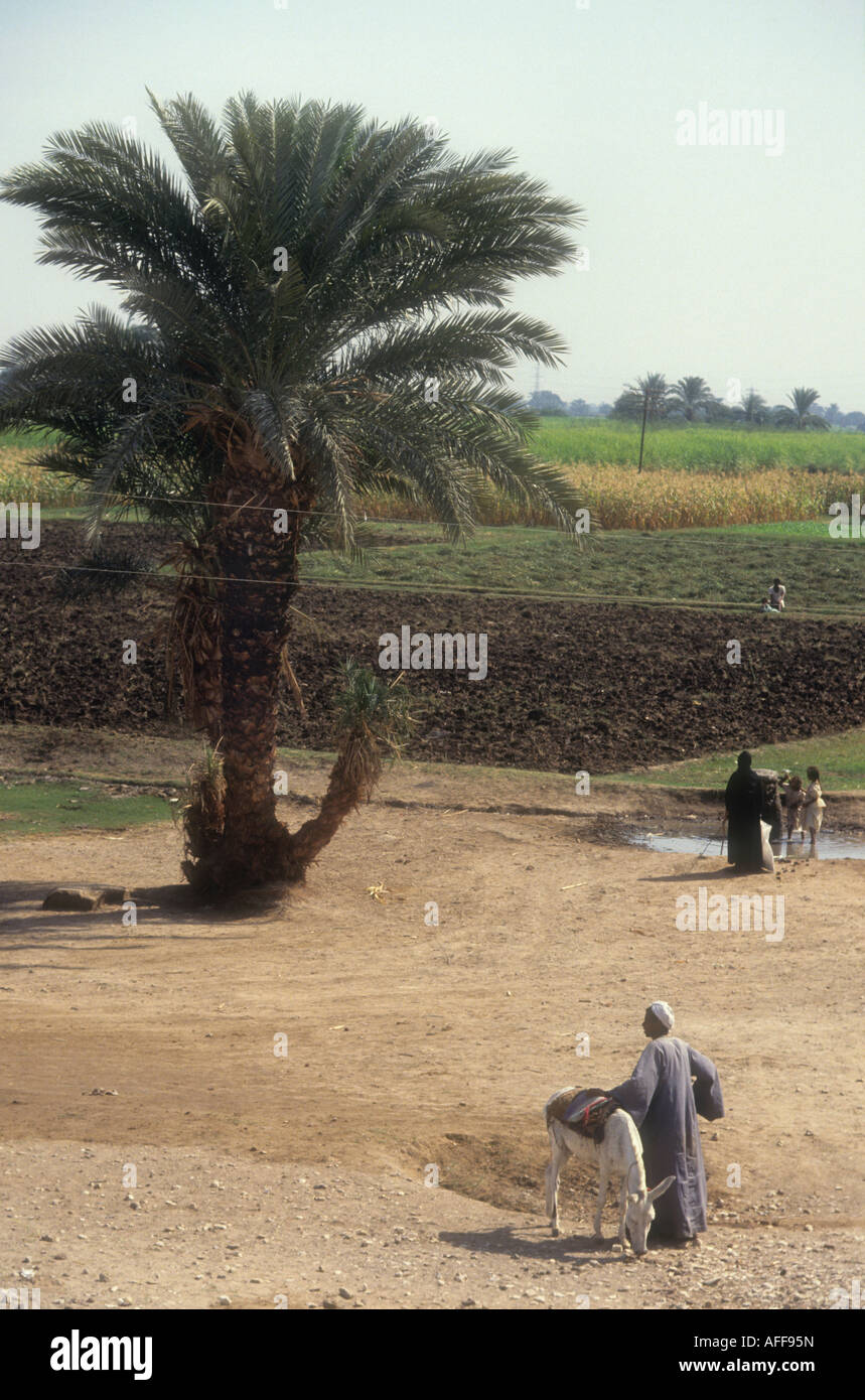 Family life in egypt hi-res stock photography and images - Alamy