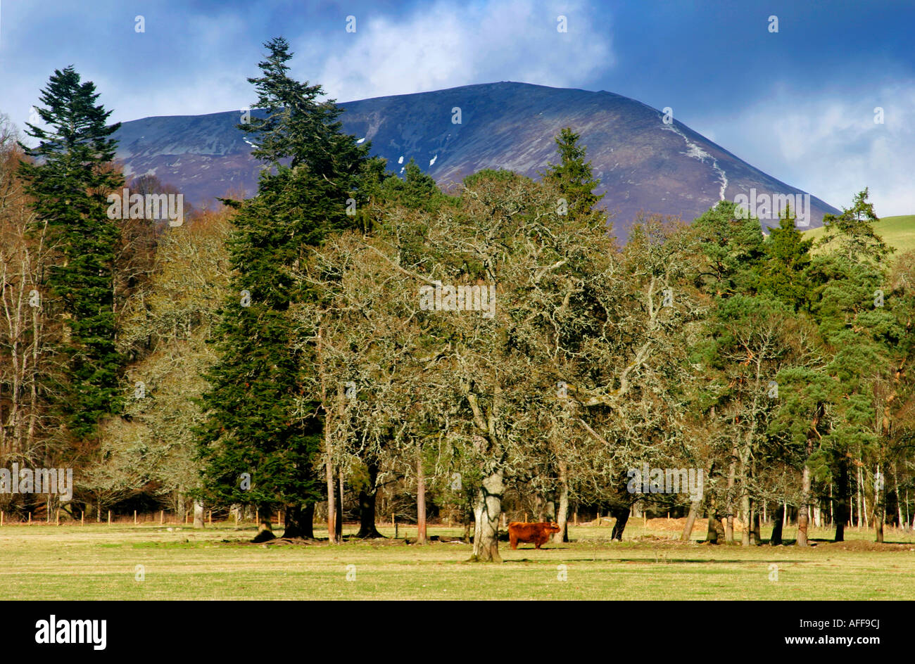 Carn Liath, Beinn a' Ghlo, from Blair Castle Grounds, nr. Pitlochry ...