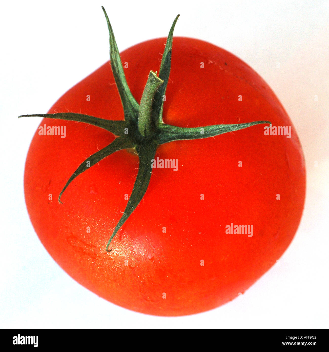 Whole fresh tomato Stock Photo - Alamy