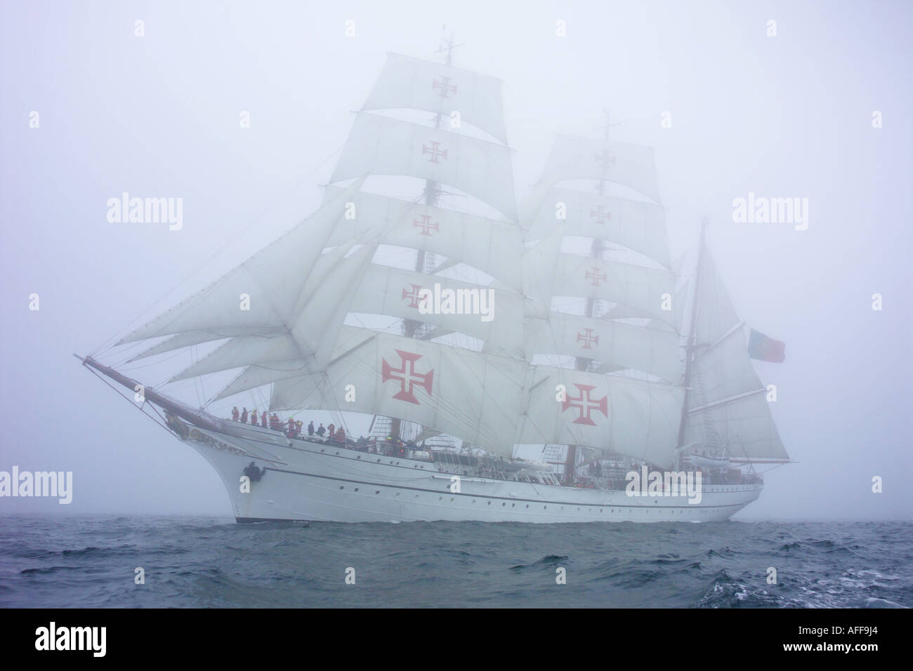 Tall ship race torquay the Sagres made her way through the fog at the ...