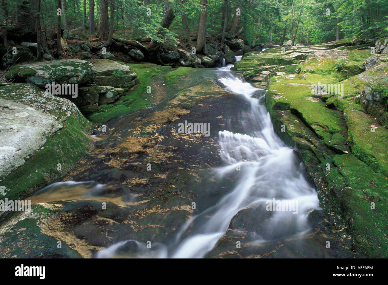 Spring cascade, White Mountain National Forest, New Hampshire Stock ...