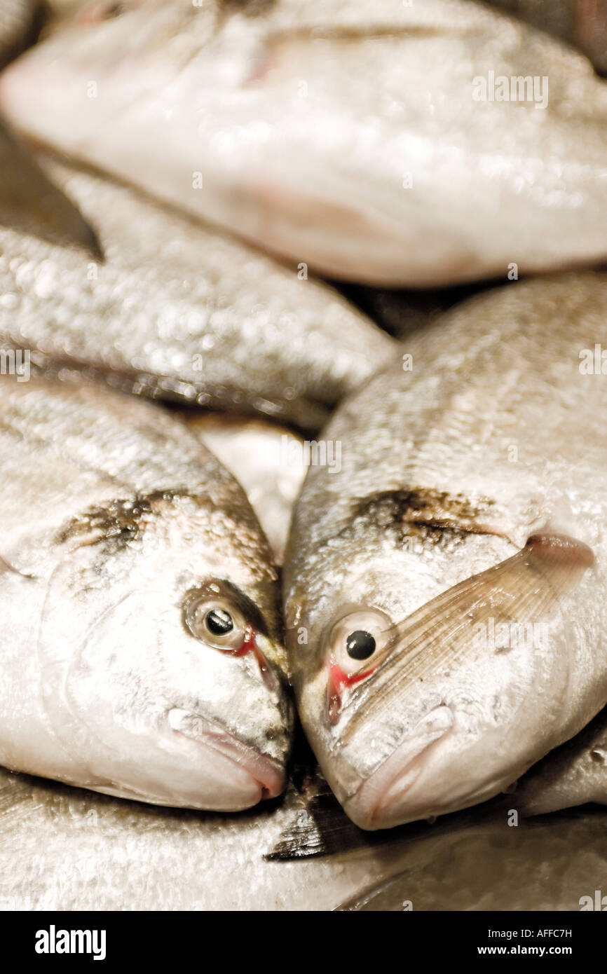 Fish bleed bleeding hi-res stock photography and images - Alamy