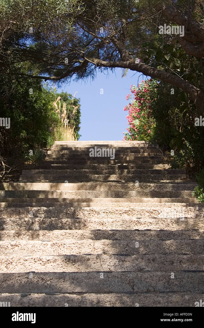 Growing over stone steps hi-res stock photography and images - Alamy