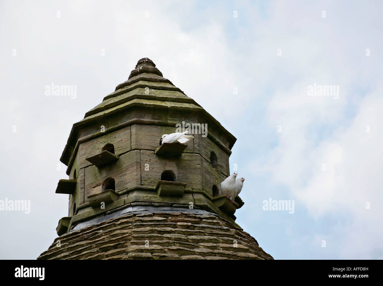 Old English stone dovecote with white doves Stock Photo - Alamy