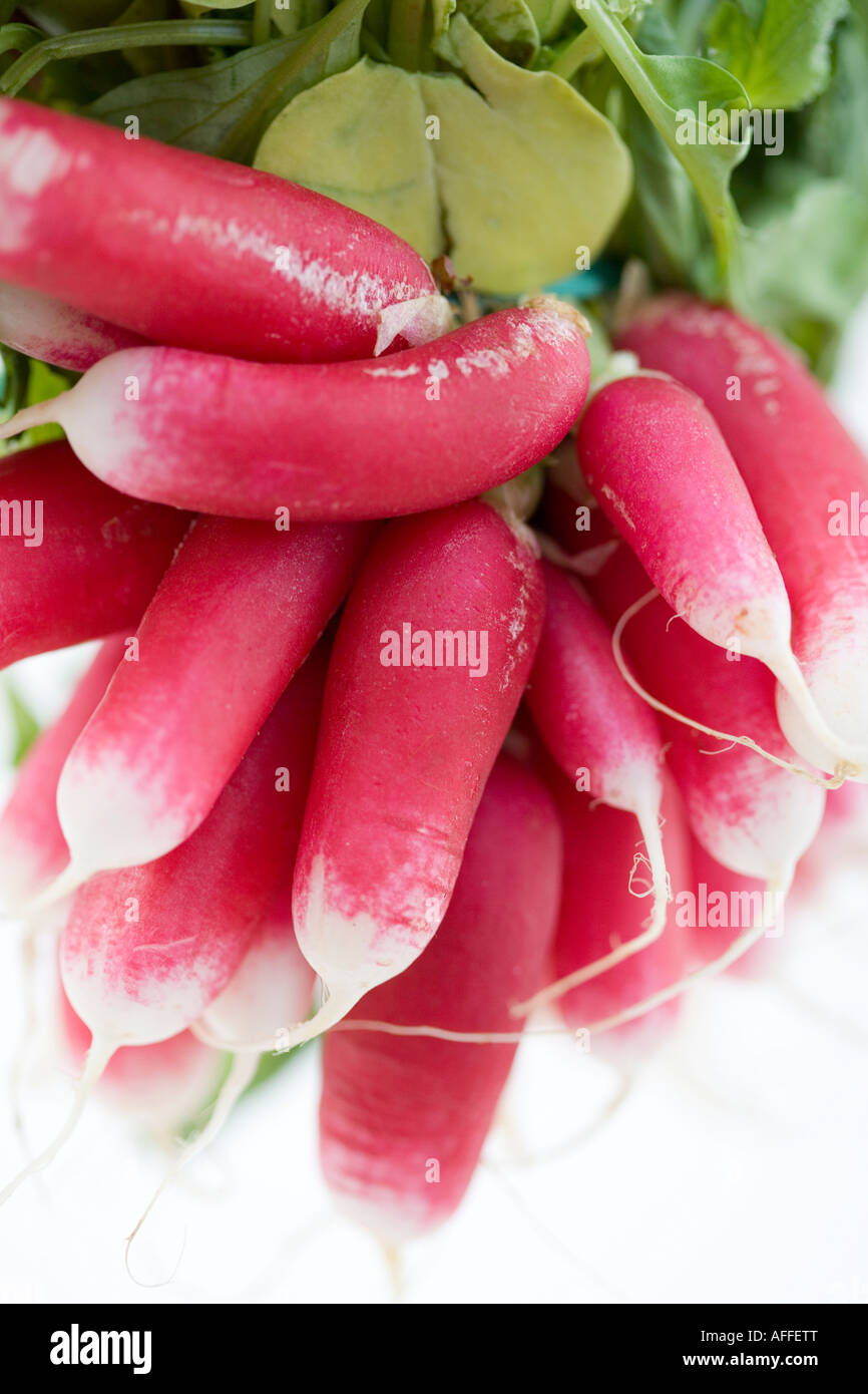 Bunch of raddish studio shot background hi-res stock photography and ...