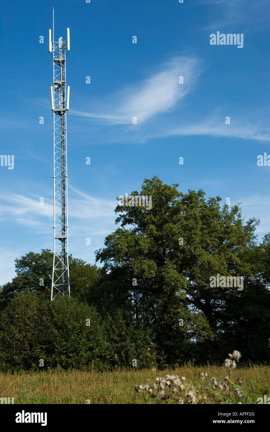 Image of a radio mast in the countryside Stock Photo - Alamy