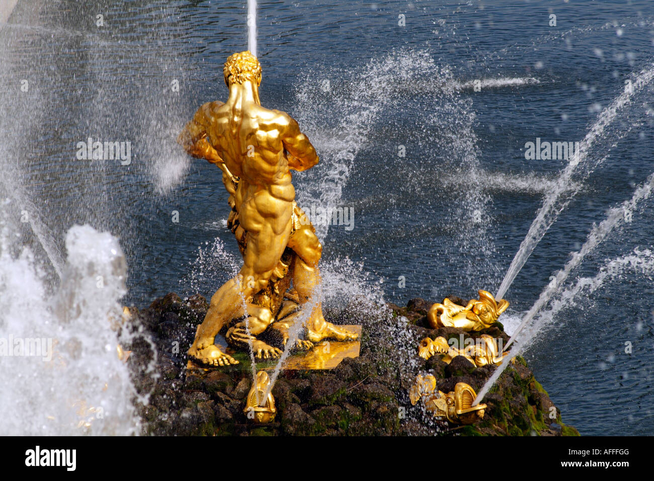 Peterhof Fountains Russian Gold Gilded Bronze Statue of Samson situated ...