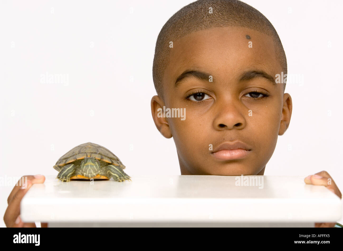 Boy and Turtle Stock Photo - Alamy