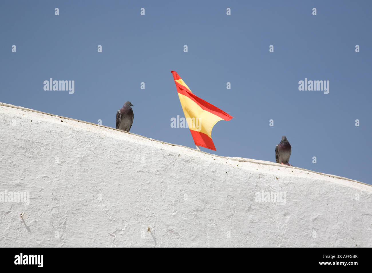 Two pigeons perched on white wall alongside Spanish flag Stock Photo ...