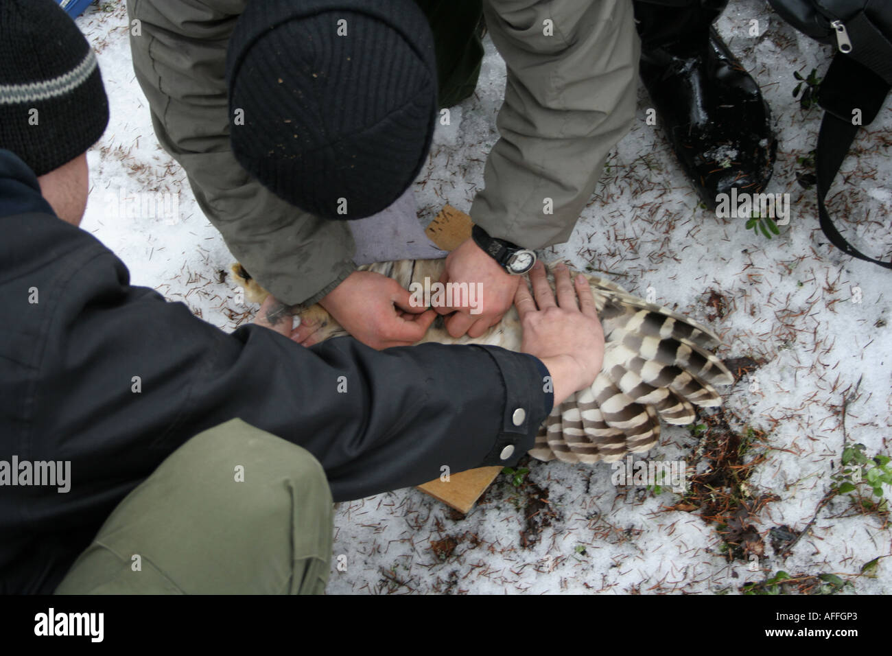 Bloodsample hi-res stock photography and images - Alamy