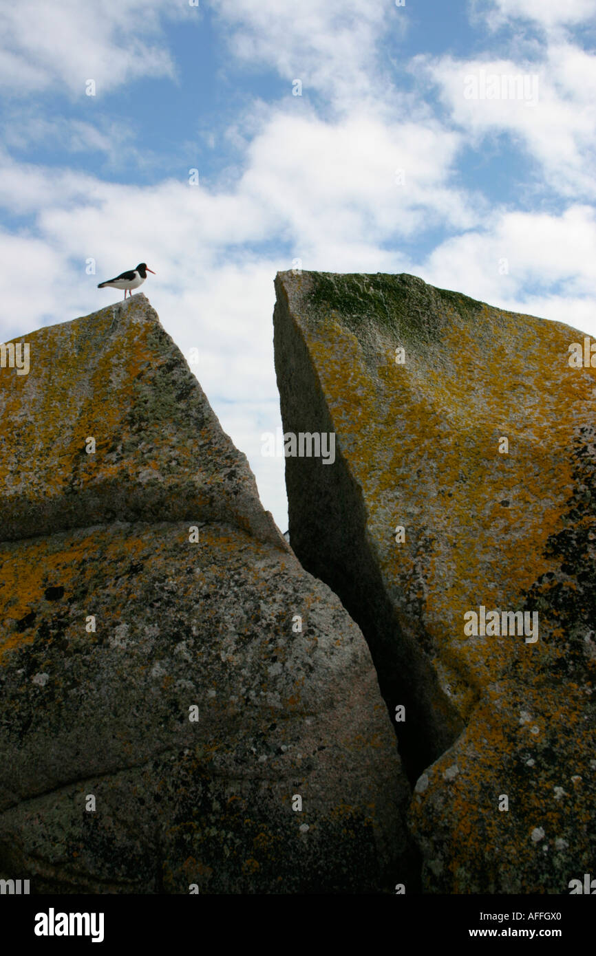 Split in two hi-res stock photography and images - Alamy