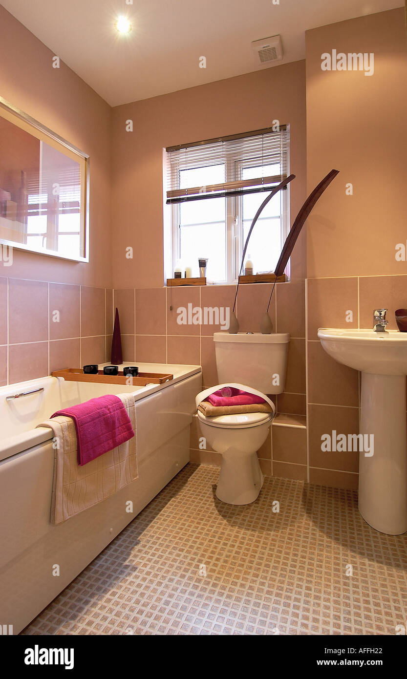 Sparkling clean toilet hi-res stock photography and images - Alamy