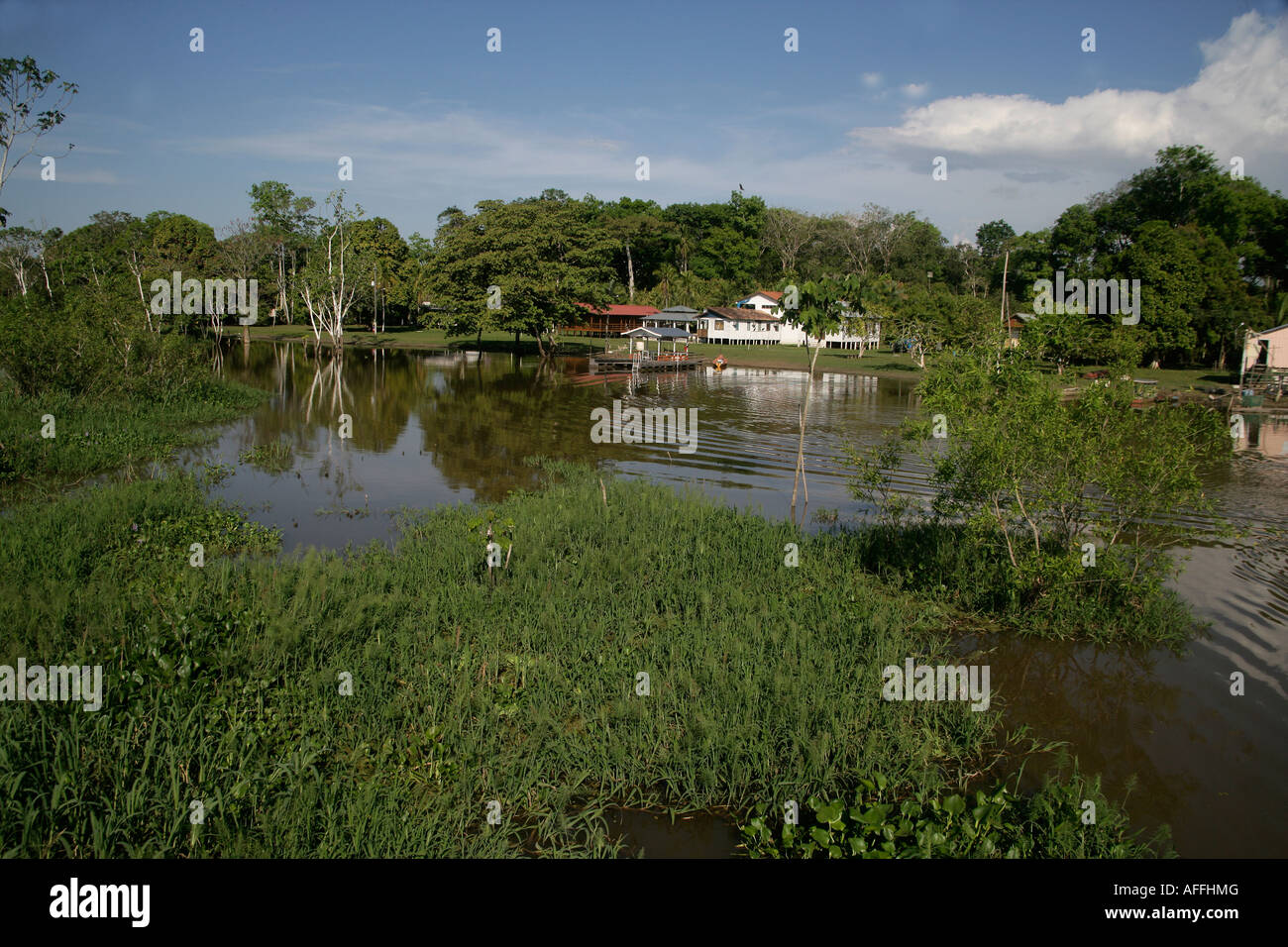 River Amazon Brazil Stock Photo - Alamy