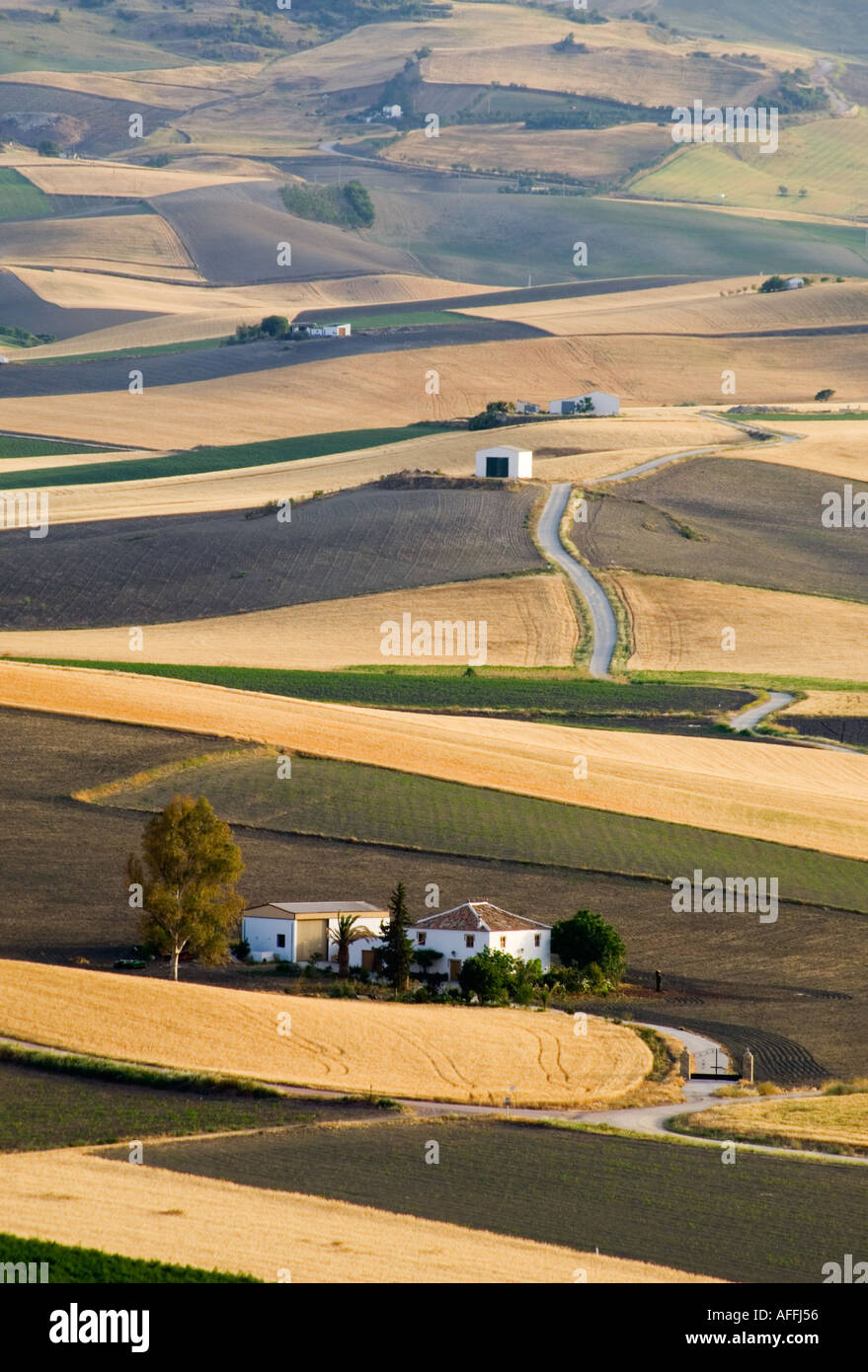Arid arable lands hi-res stock photography and images - Alamy