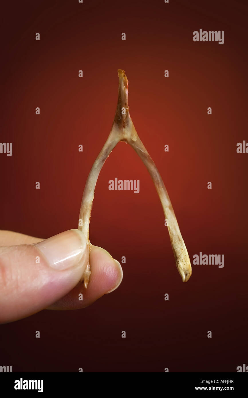 Wish bone concept Stock Photo - Alamy