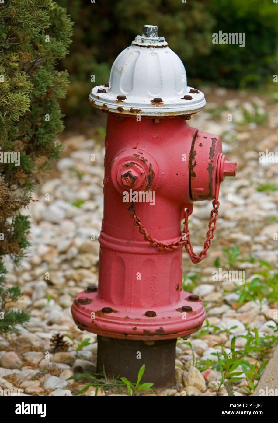 Fire hydrant near a sidewalk Stock Photo - Alamy