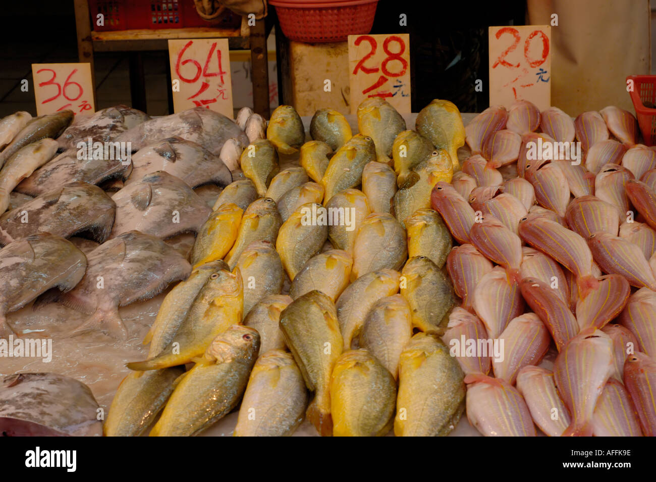 Typical market stall selling fresh fish to local residents in Wan Chai ...