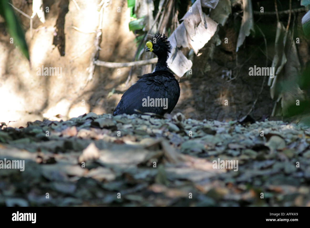 Frequencie hi-res stock photography and images - Alamy