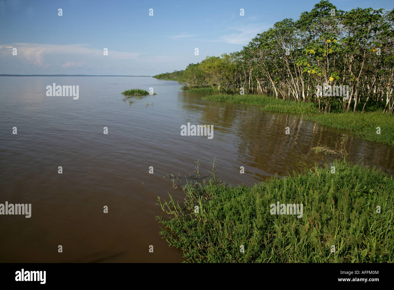 Amazon river bank hi-res stock photography and images - Alamy
