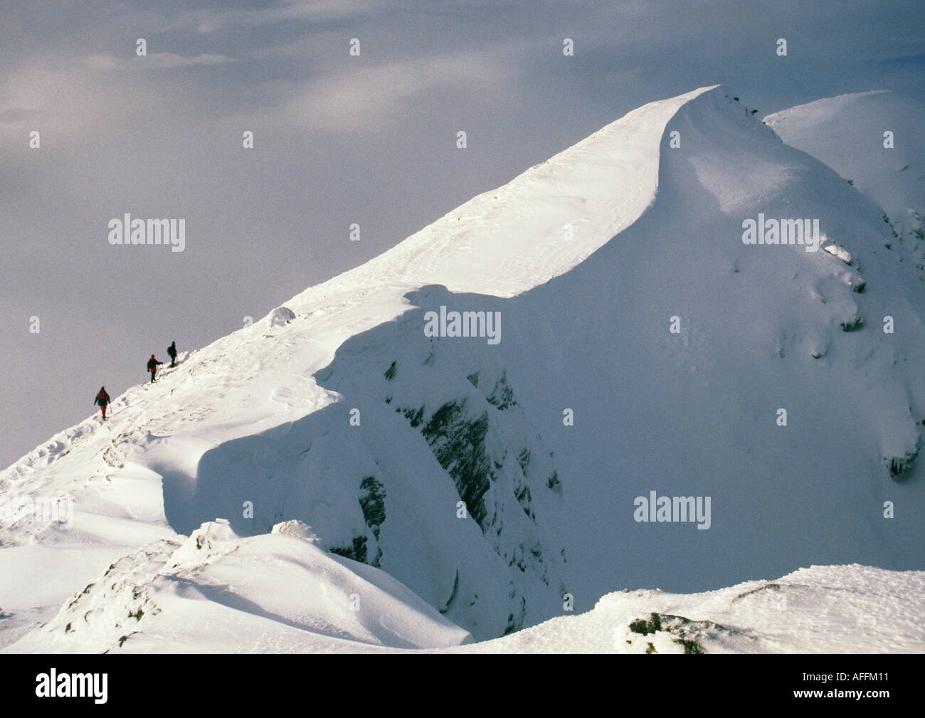 The Final Climb To The Summit Of Ben Lomond In Winter Stock Photo Alamy The Final Climb To The Summit Of Ben Lomond In Winter Stock Photo Alamy