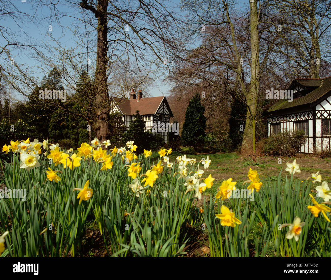 UK England Cheshire Stockport Bramhall Park in springtime Stock Photo ...