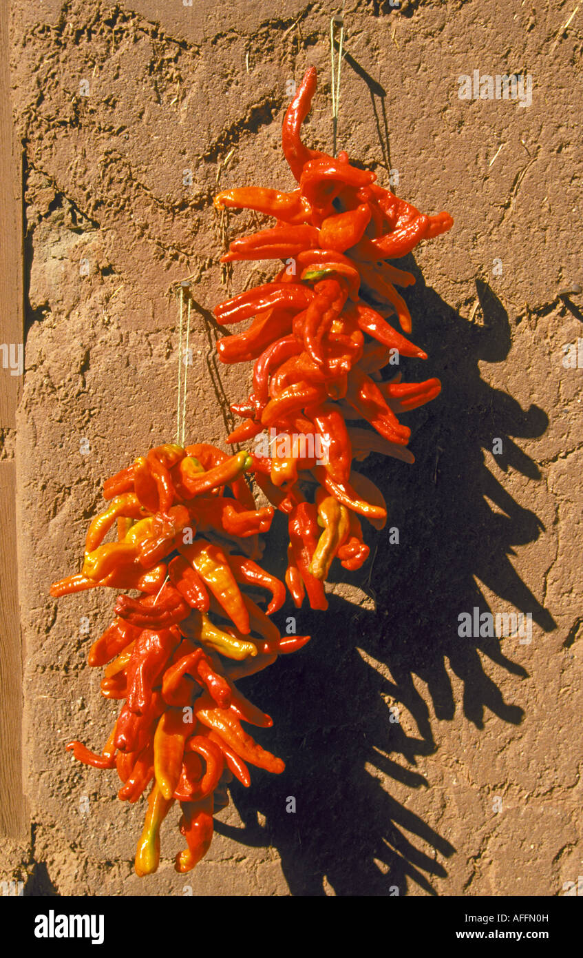 A string of red chile ristras hangs from an adobe wall in Santa Fe New ...