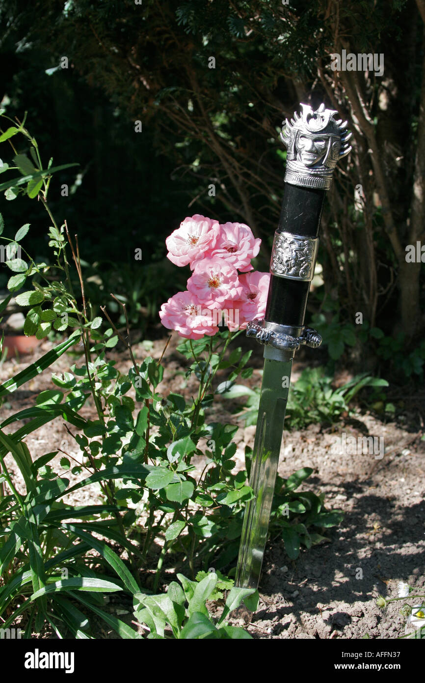 Samurai rose hi-res stock photography and images - Alamy