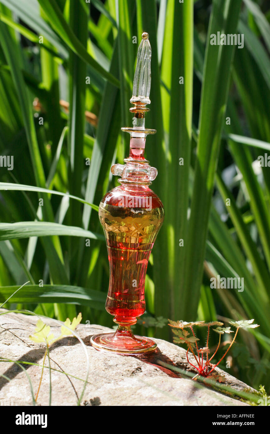 Flakon parfum hi-res stock photography and images - Alamy