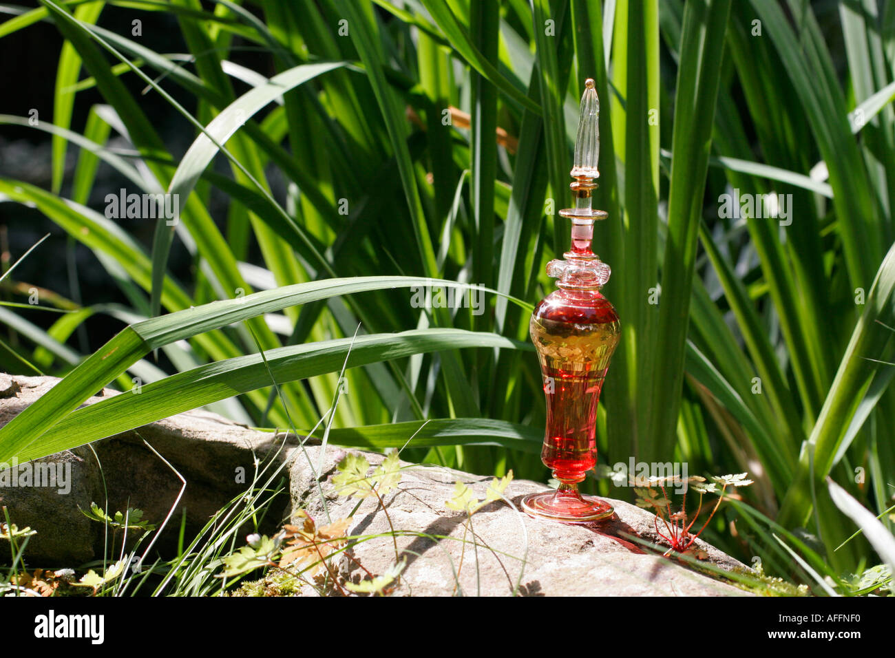 Flakon parfum hi-res stock photography and images - Alamy