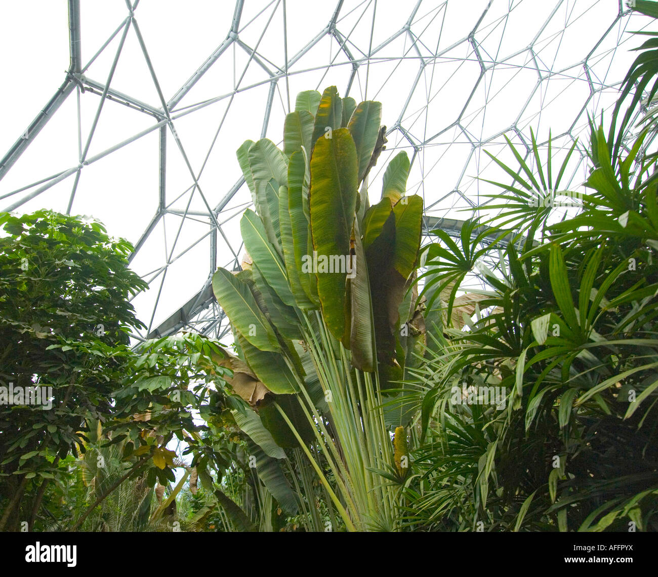Grow project hi-res stock photography and images - Alamy
