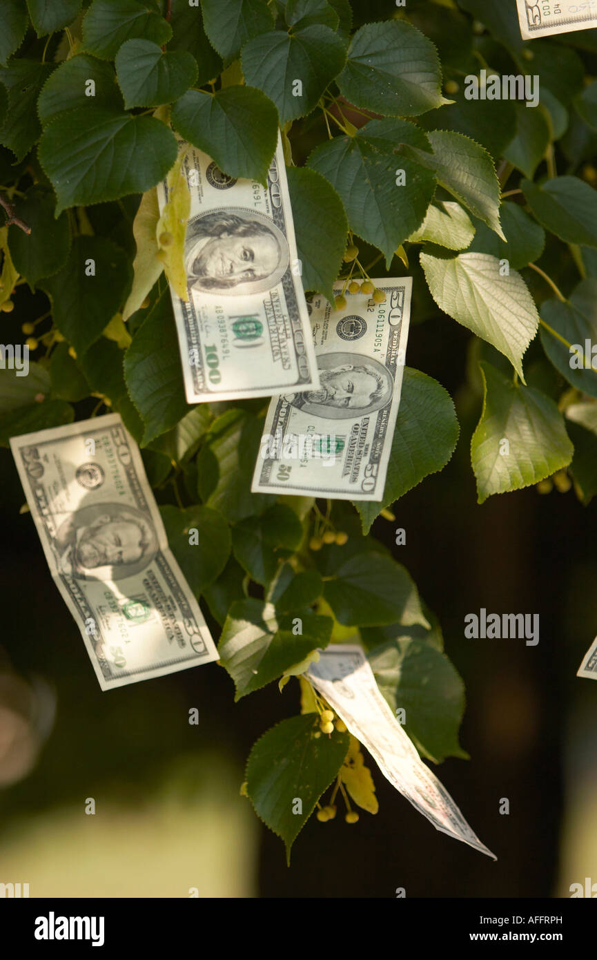 A photograph illustrating the opposite of the phrase money doesn t grow ...